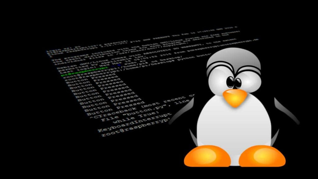 12 comandos básicos do Linux para iniciantes - Tech Start